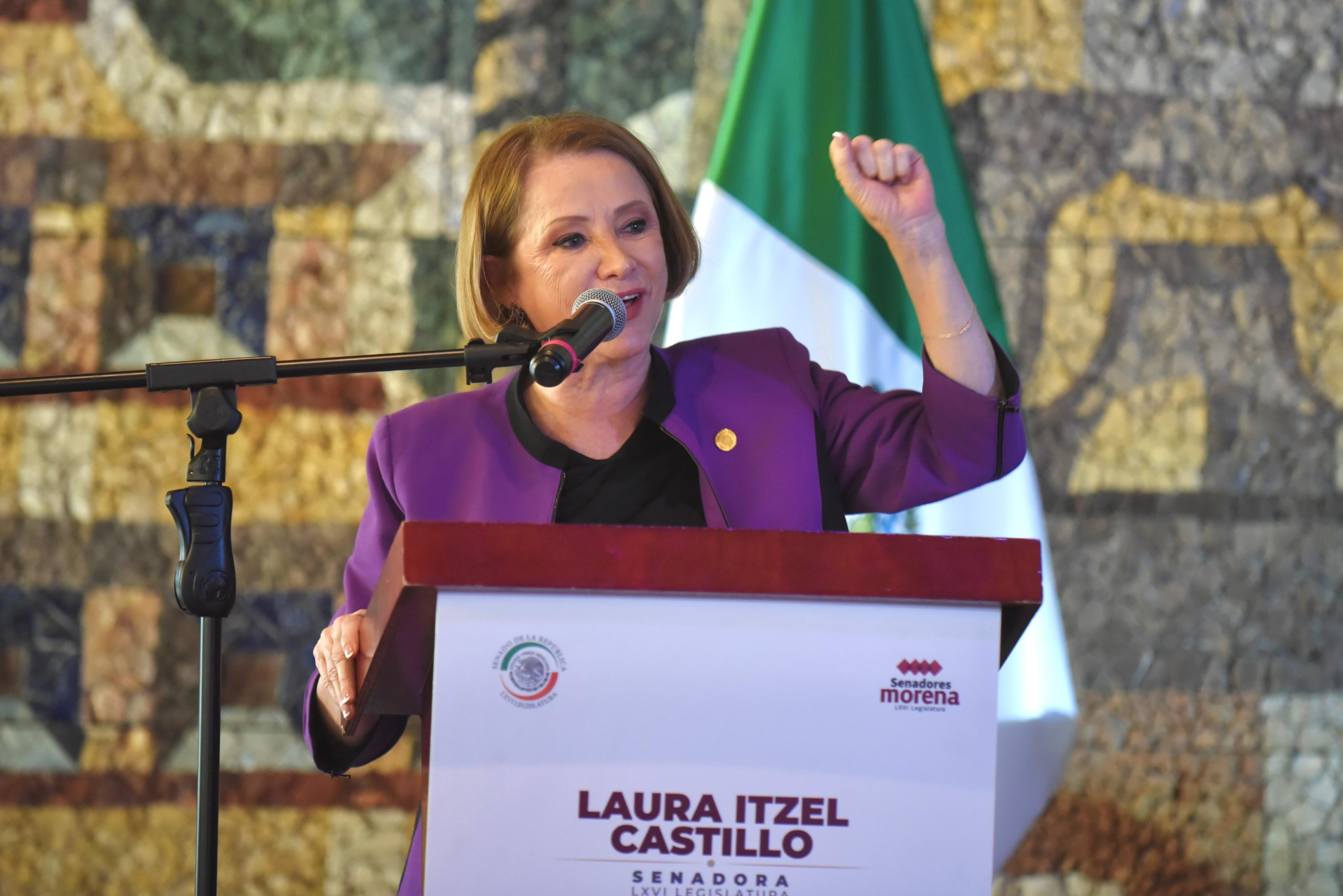 Morena perfila a Laura Itzel Castillo como la nueva presidenta del Senado